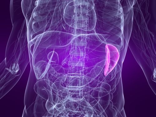 Milza infiammata, le cause più comuni - MedicinaLive Milza infiammata, le cause più comuni - MedicinaLive